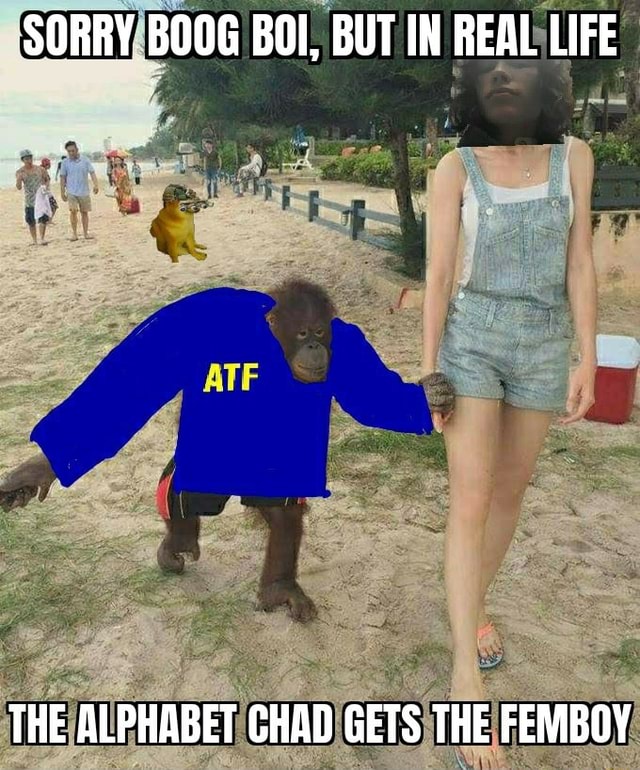 SORRY BOOG BO!, BUT IN REAL LIFE THE ALPHABET CHAD GETS THE FEMBOY - iFunny
