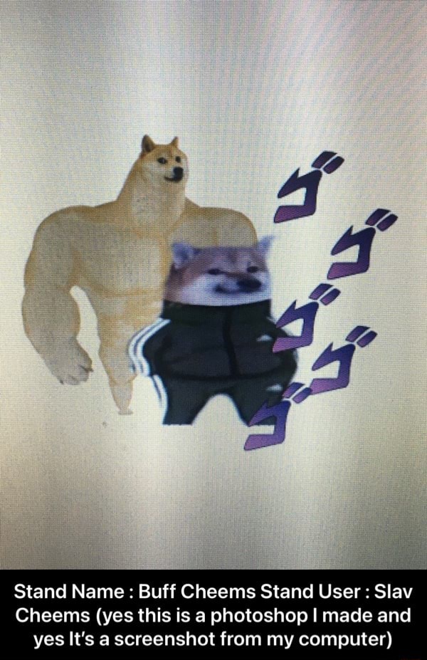 Stand Name : Buff Cheems Stand User : Slav Cheems (yes this is a ...