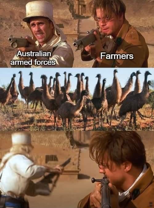 The Great Emu War, Australia 1932. - Australian Farmers armed forces ...