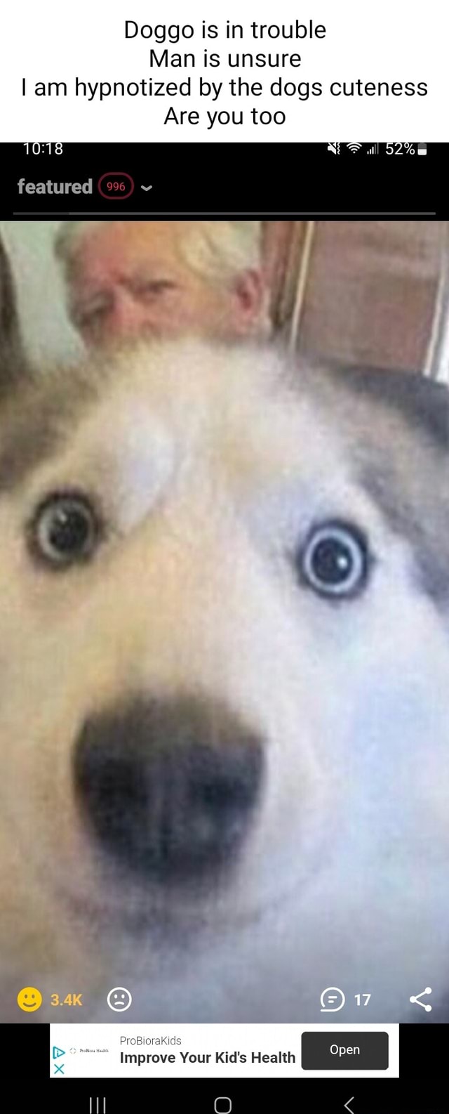 Doggo is in trouble Man is unsure I am hypnotized by the dogs cuteness ...