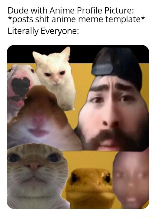 Dude with Anime Profile Picture: *posts shit anime meme template ...