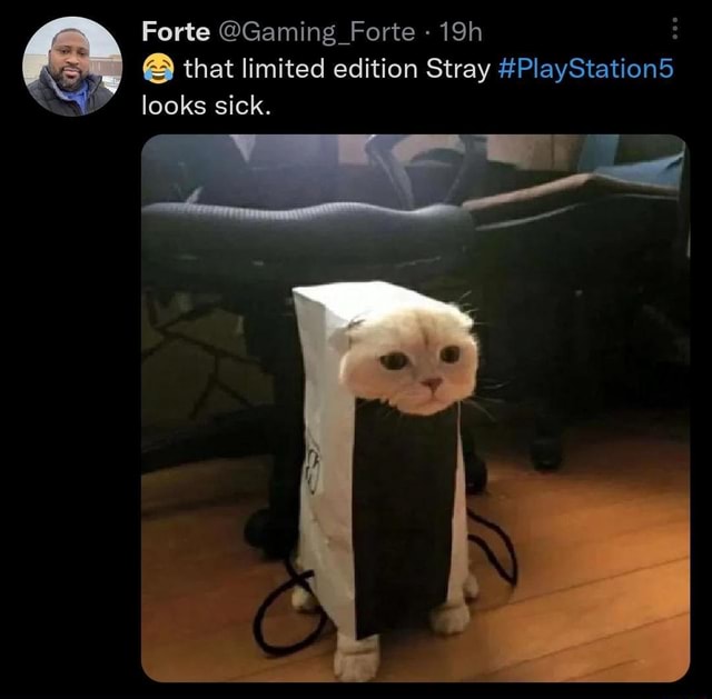 Forte @Gaming_Forte - that limited edition Stray #PlayStation5S looks ...