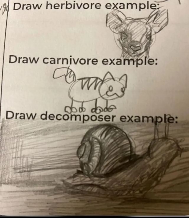 /9 Draw herbivore exampl Draw Carnivore example: Draw decomposer - iFunny