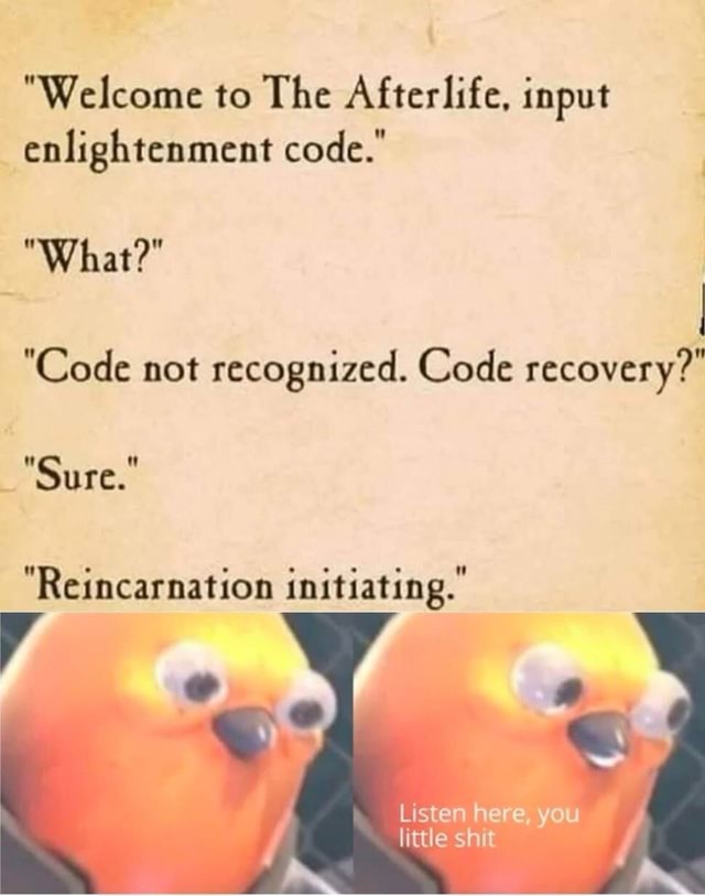 "Welcome to The Afterlife, input enlightenment code." "What?" "Code not ...