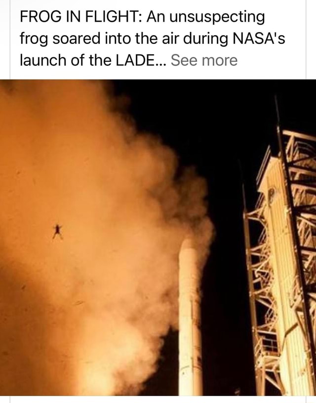 FROG IN FLIGHT: An unsuspecting frog soared into the air during NASA's ...