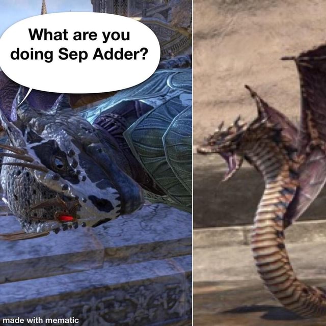 What are you doing Sep Adder? - iFunny