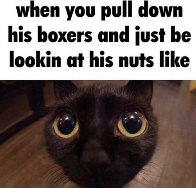 When you pull down his boxers and just be lookin at his nuts like - iFunny