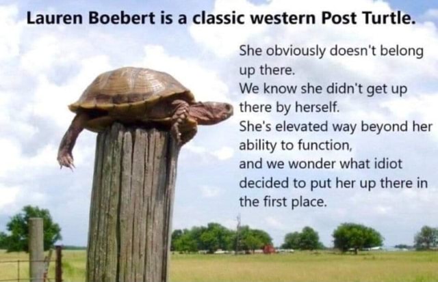 Lauren Boebert is a classic western Post Turtle. She obviously doesn't ...