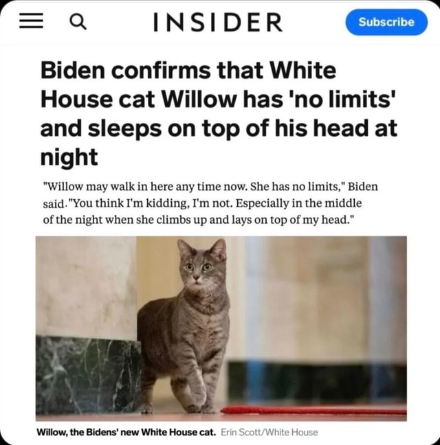 = INSIDER subscribe ) Biden confirms that White House cat Willow has ...