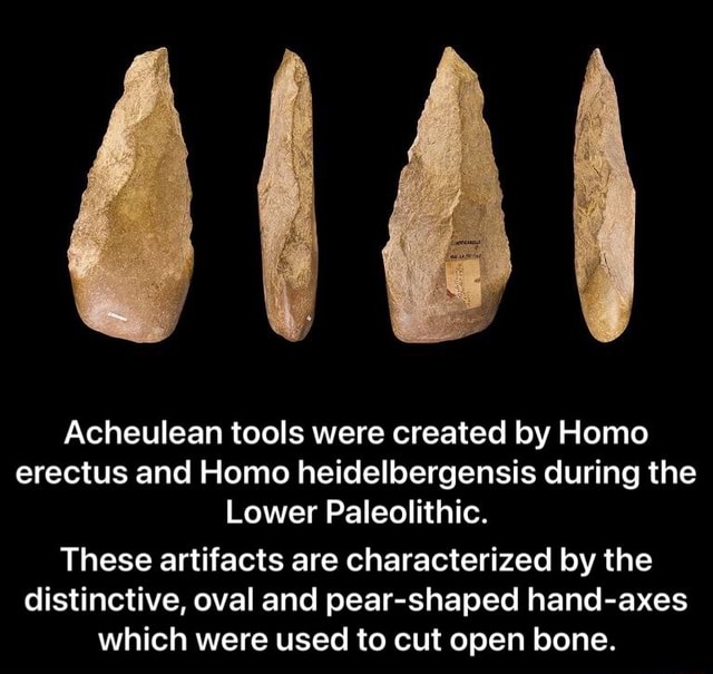 Acheulean tools were created by Homo erectus and Homo heidelbergensis ...