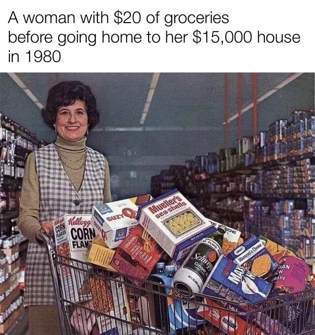 A woman with $20 of groceries before going home to her $15,000 house in ...