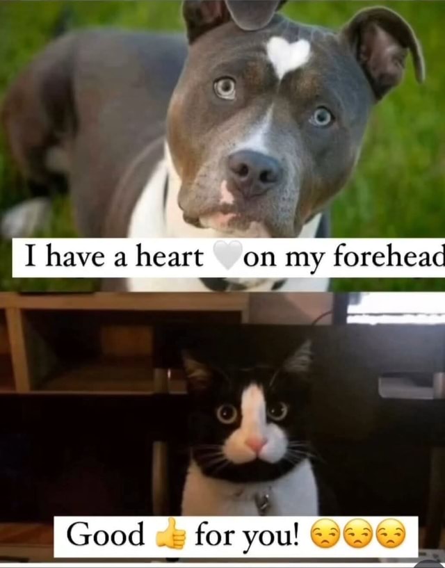 I have a heart om my forehead I Good & for you! - iFunny