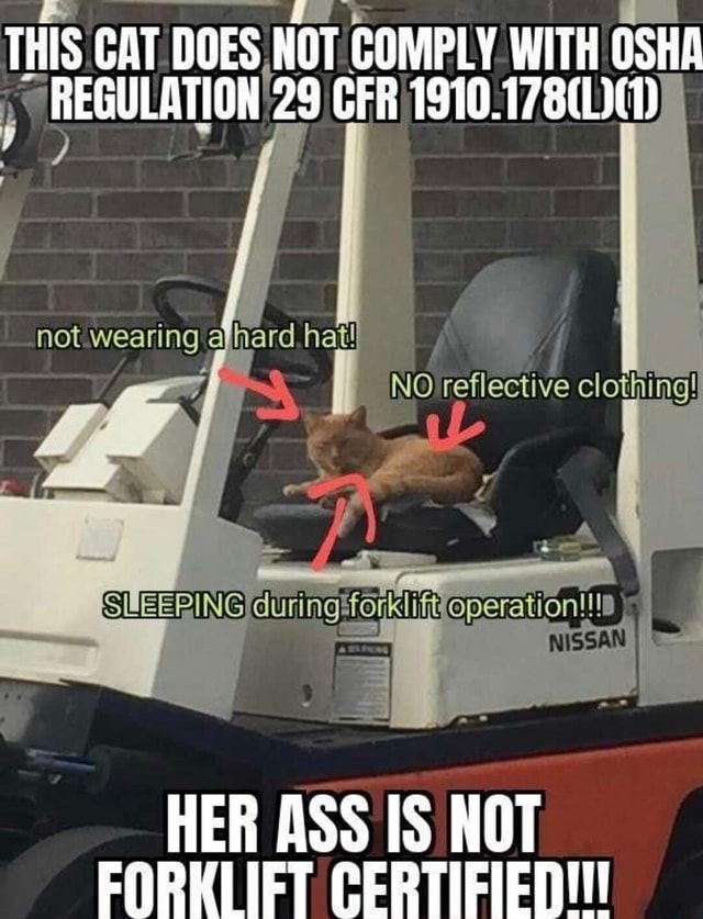 THIS CAT DOES NOT COMPLY WITH OSHA REGULATION 29 CFR 181.780D not ... THIS CAT DOES NOT COMPLY WITH OSHA REGULATION 29 CFR 181.780D not ...