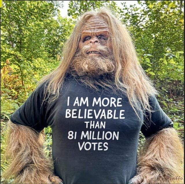 AM MORE BELIEVABLE THAN 8! MILLION VOTES - iFunny