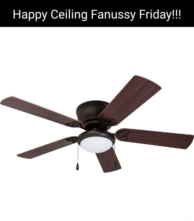 Happy Ceiling Fanussy Friday!!! - iFunny