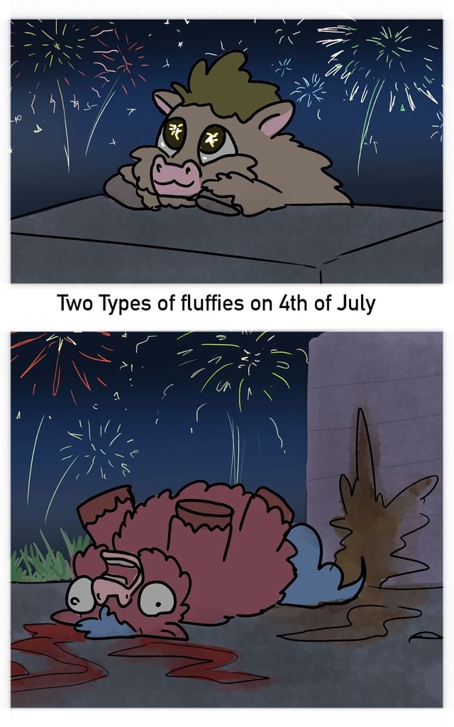 Two Types of fluffies on of July - iFunny