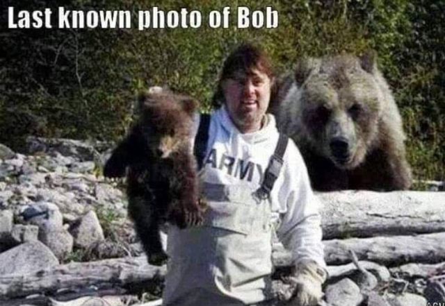 Last known photo of Bob - America’s best pics and videos