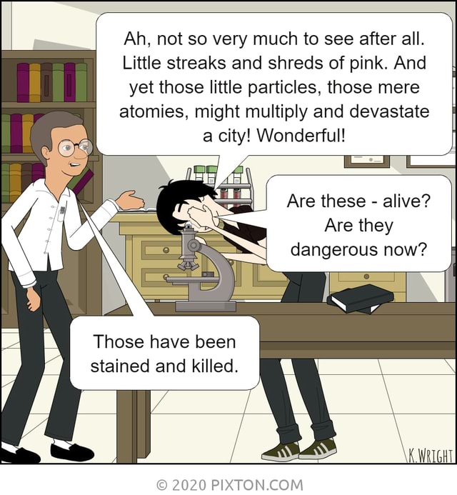 The Stolen Bacillus Webcomic - Ah, not so very much to see after all ...
