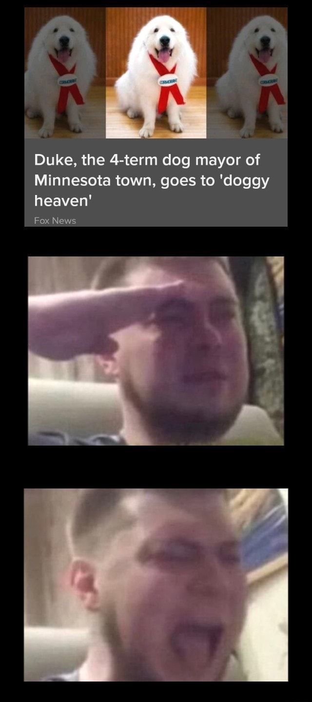 Duke, the 4-term dog mayor of Minnesota town, goes to 'doggy heaven ...