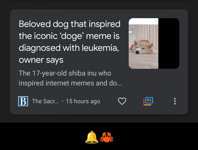 Beloved dog that inspired the iconic 'doge' meme is diagnosed with ...