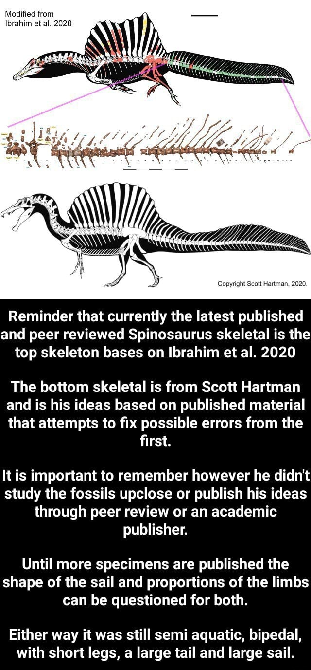 Modified from Ibrahim et al. 2020 Copyright Scott Hartman SW, Reminder ...