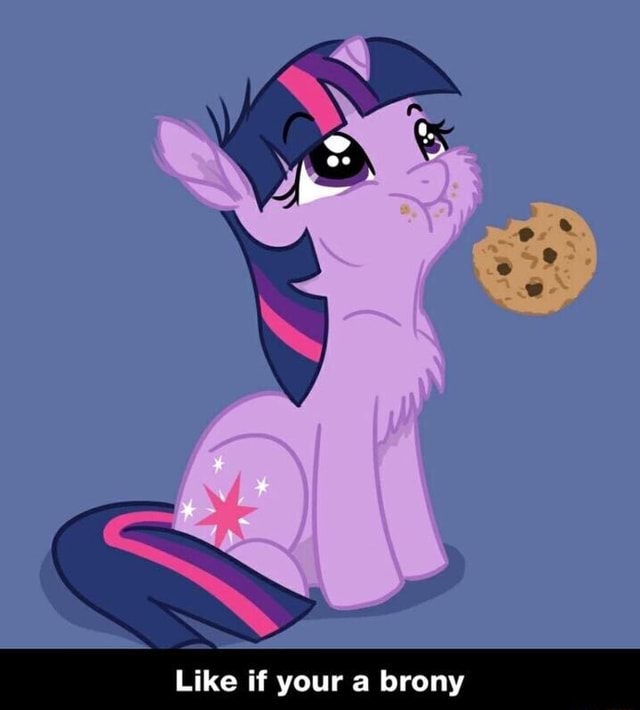 Like if your a brony - iFunny