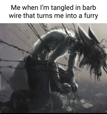 Me when I'm tangled in barb wire that turns me into a furry - iFunny