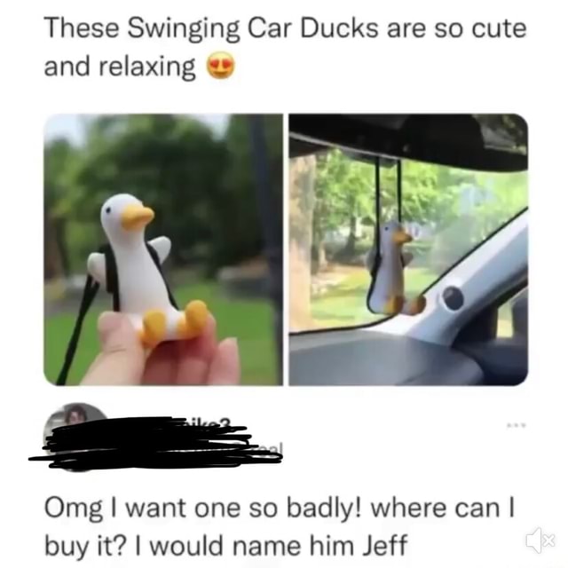 These Swinging Car Ducks are so cute and relaxing Omg I want one so ...