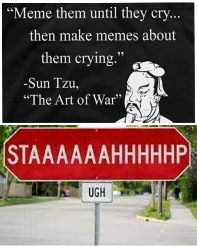 "Meme them until they cry... then make memes about them crying." hem ...
