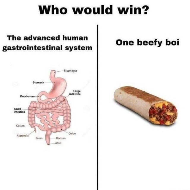 Who would win? The advanced human gastrointestinal system One beefy boi ...