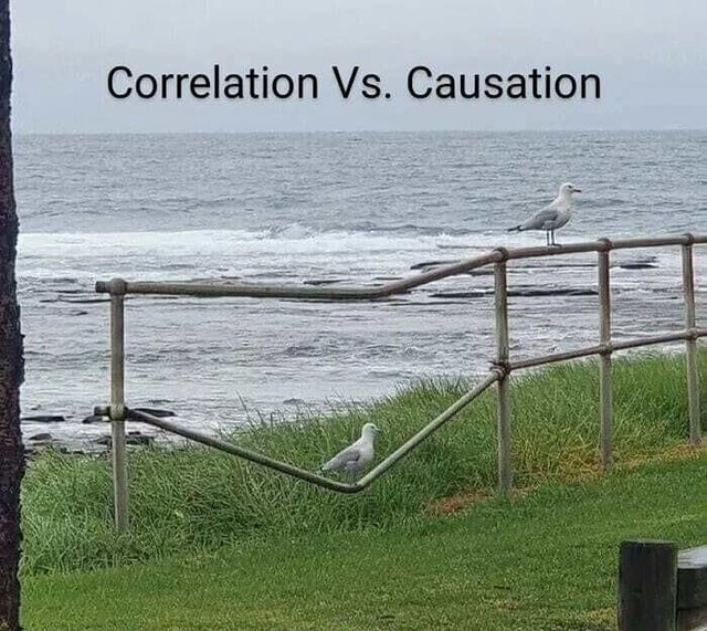 Correlation Vs. Causation - iFunny Correlation Vs. Causation - iFunny