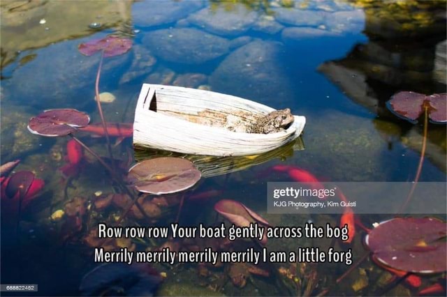 Gettyii KJG Photography, Kim Guisti Row row row Your boat gently across ...