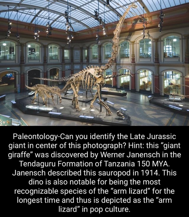 Paleontology-Can you identify the Late Jurassic giant in center of this ...