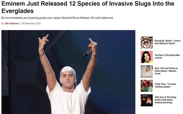 Eminem Just Released 12 Species of Invasive Slugs Into the Everglades ...