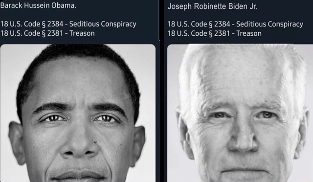 Barack Hussein Obama. Joseph Robinette Biden Jr. 18 U.S. Code 2384 ...