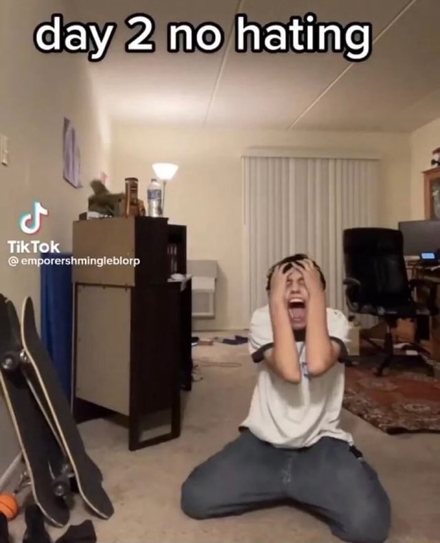 Day 2 no hating TikTok - iFunny Day 2 no hating TikTok - iFunny
