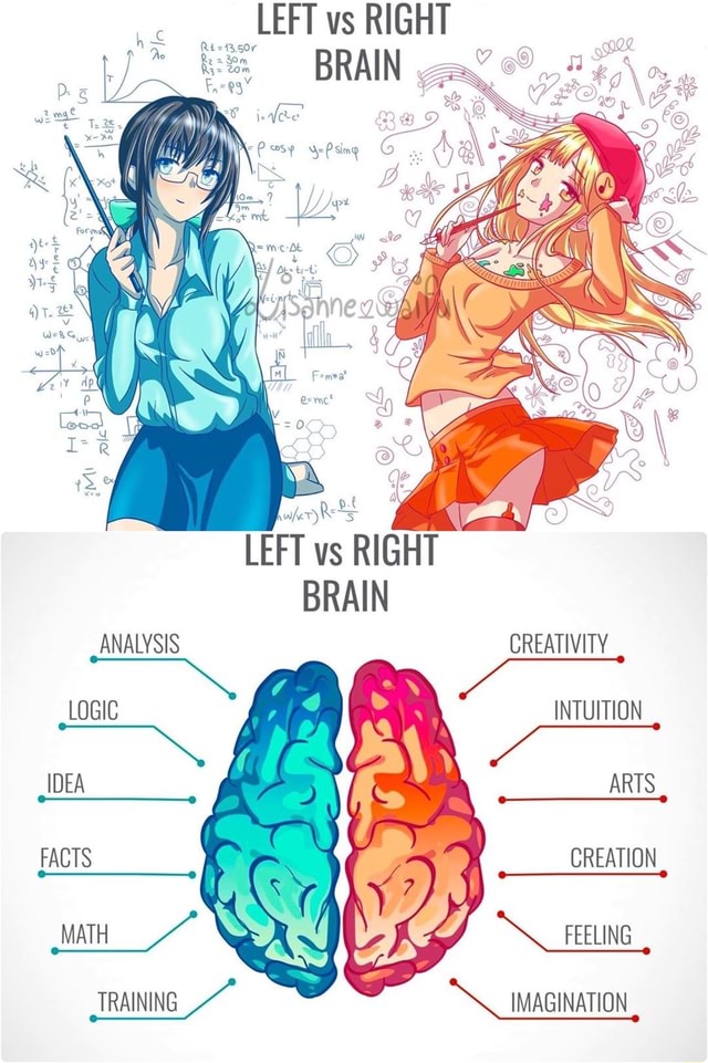 LEFT vs RIGHT BRAIN All LEFT vs RIGHT BRAIN ANALYSIS CREATIVITY LOGIC ...
