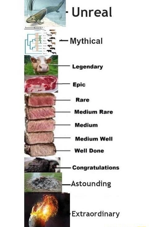 Unreal Mythical Legendary Epic Rare Medium Rare Medium Medium Well Well ...