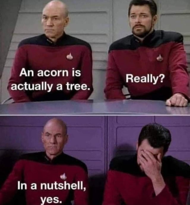 Is acorn Really? actually tree. In a nutshell, yes. - iFunny