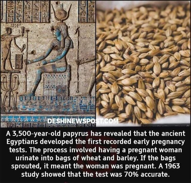 A 3,500-year-old papyrus has revealed that the ancient Egyptians ...