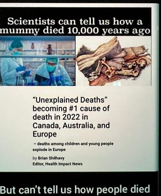 Scientists can tell us how a mummy died 10,000 years ago "Unexplained ...