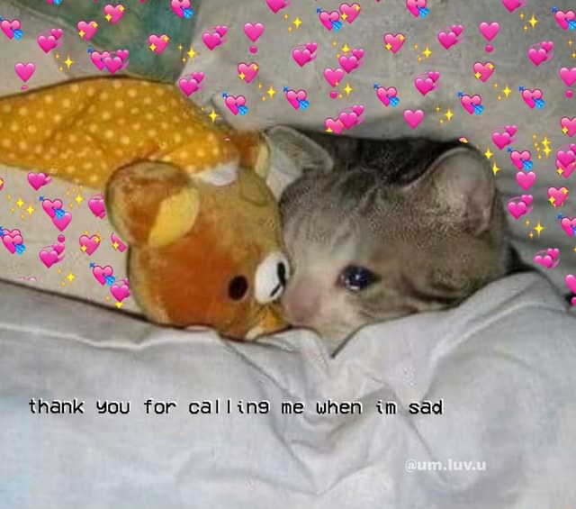 Thank You for calling me when im sad - iFunny