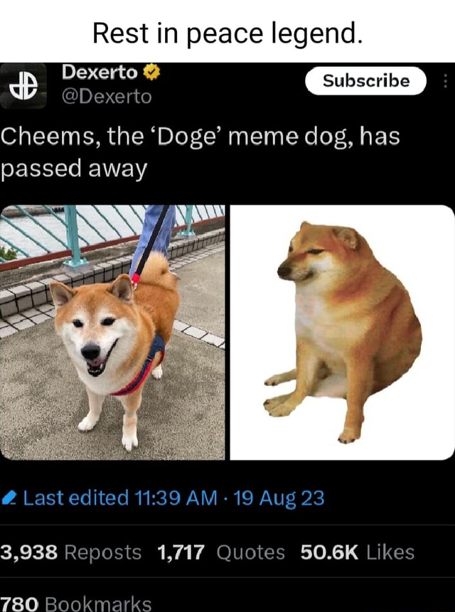 Rest in peace legend. Dexerto Cheems, the 'Doge' meme dog, has passed ...