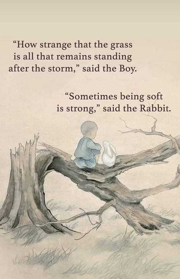 "How strange that the grass is all that remains standing after the ...