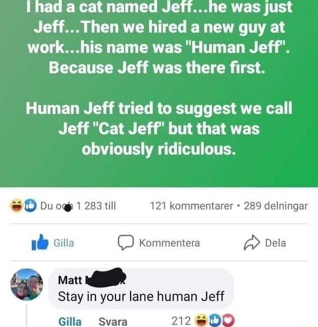 I had a cat named he was just Jeff... Then we hired a new guy at work ...
