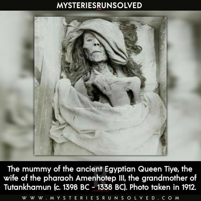 MYSTERIESRUNSOLVED The mummy of the ancient Egyptian Queen Tiye, the ...