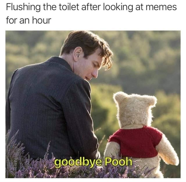Flushing the toilet after looking at memes for an hour of - America’s ...