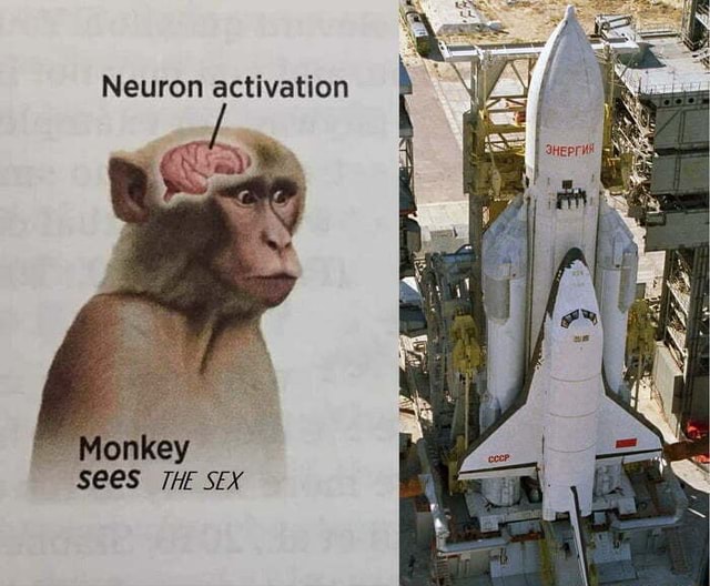 Neuron Activation Key The Sex Ifunny