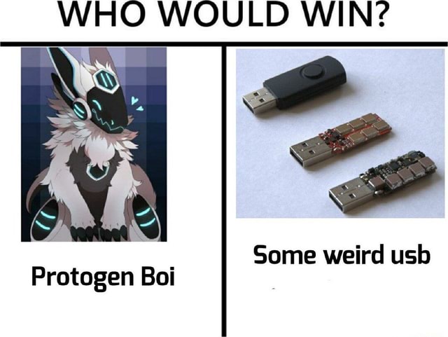 WHO WOULD WIN? Some weird usb Protogen Boi - iFunny