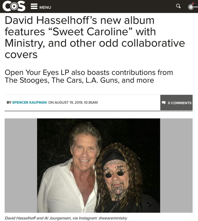 Back in the spring, David Hasselhoff revealed he was working on a new ...